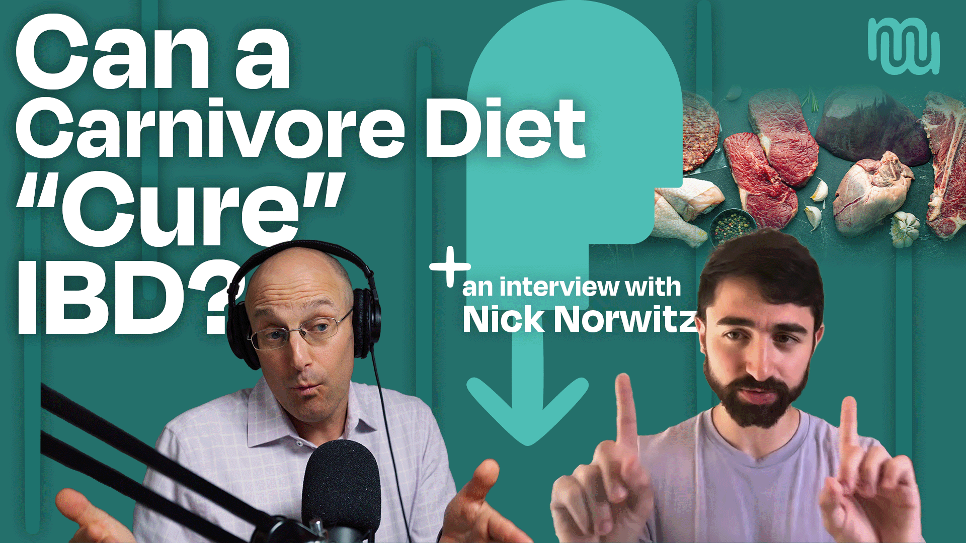 Carnivore Diet for Inflammatory Bowel Disease: New Source of Hope? With Nick Norwitz, PhD ...